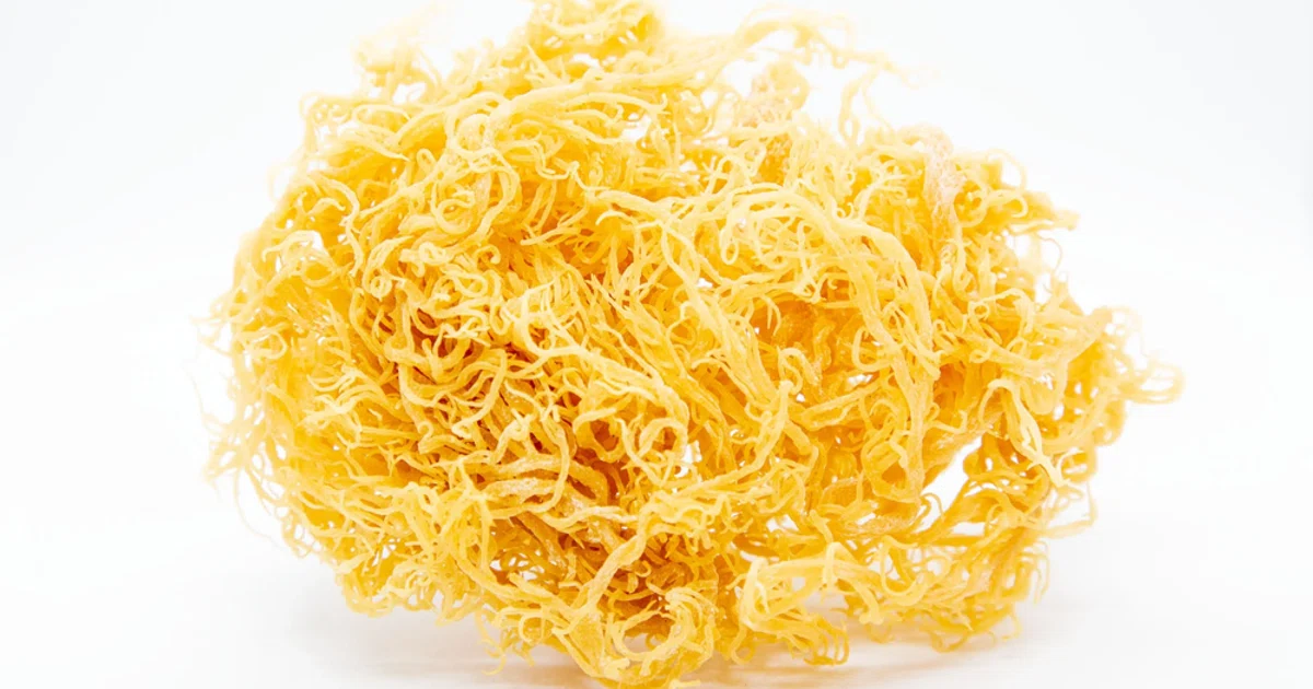 Sea Moss Gel: A Comprehensive Guide to Its Benefits, Uses, and Where to Buy